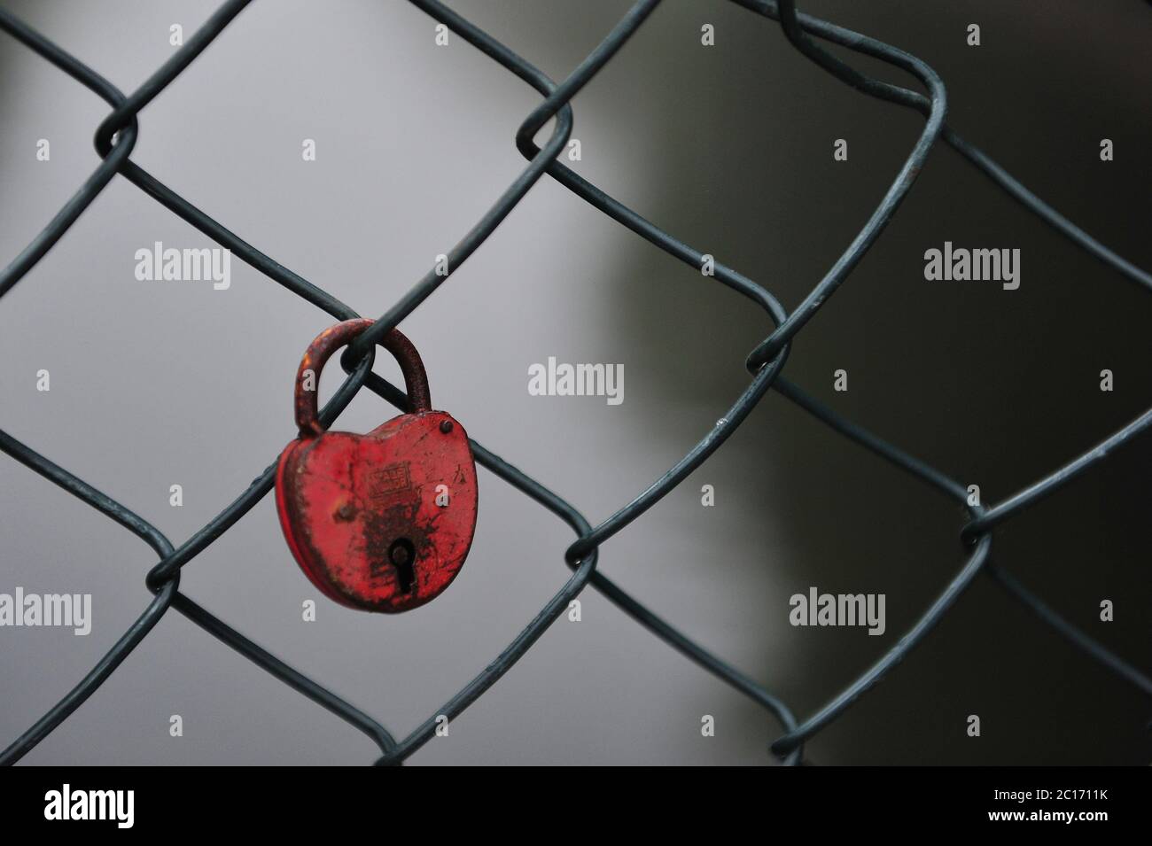 One single red padlock hanging on mesh fence. Soft grey, black ...