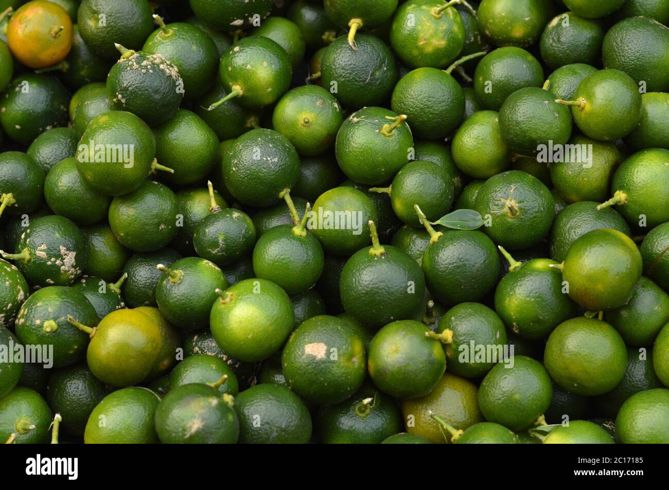 green citrus fruit Stock Photo - Alamy
