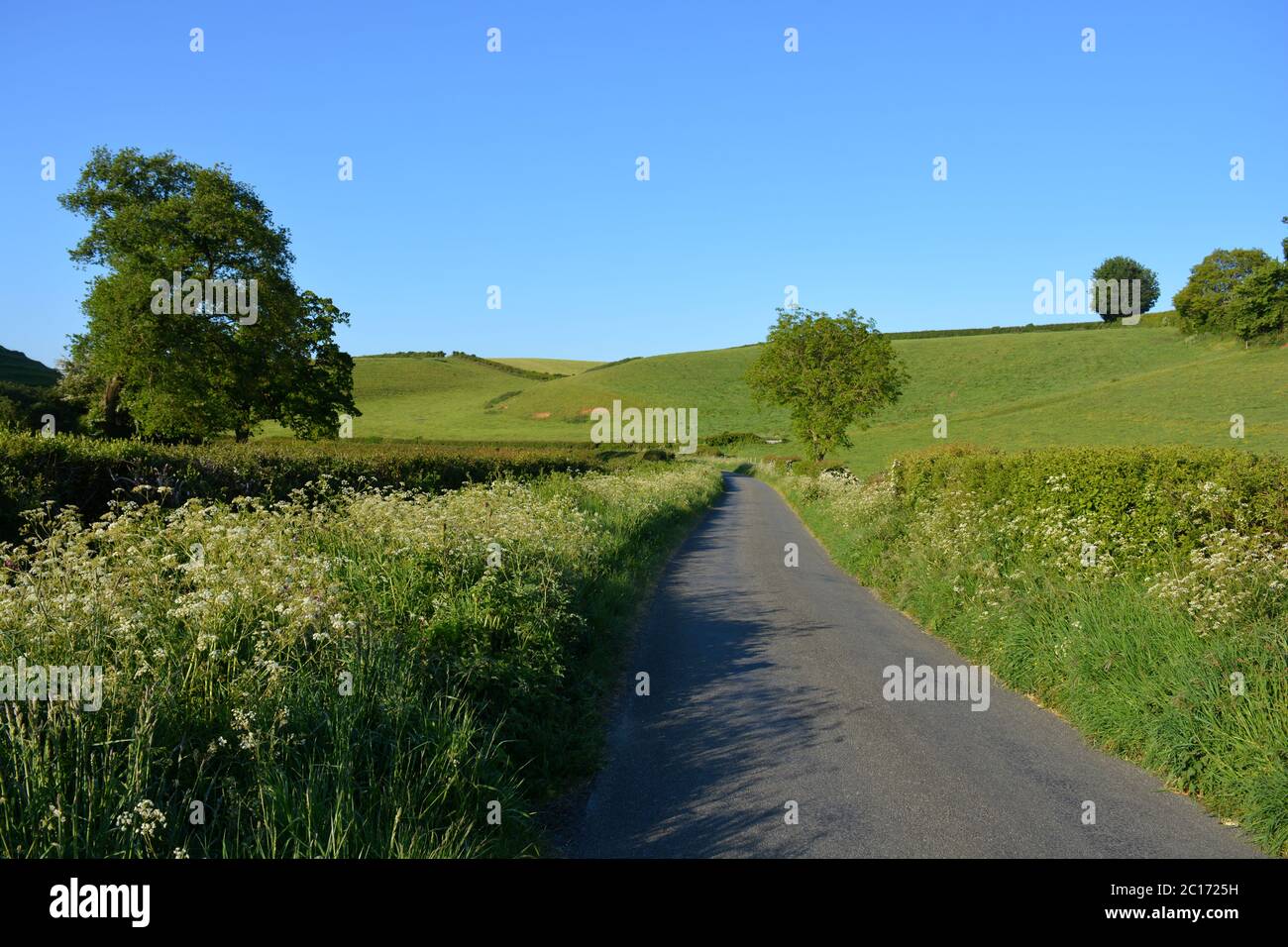 Grass journey hi-res stock photography and images - Alamy