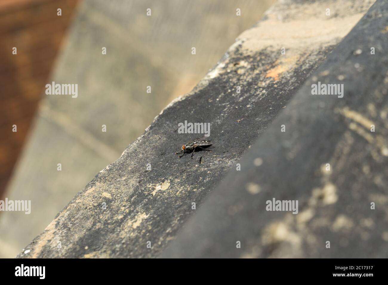 Rock identification hi-res stock photography and images - Alamy