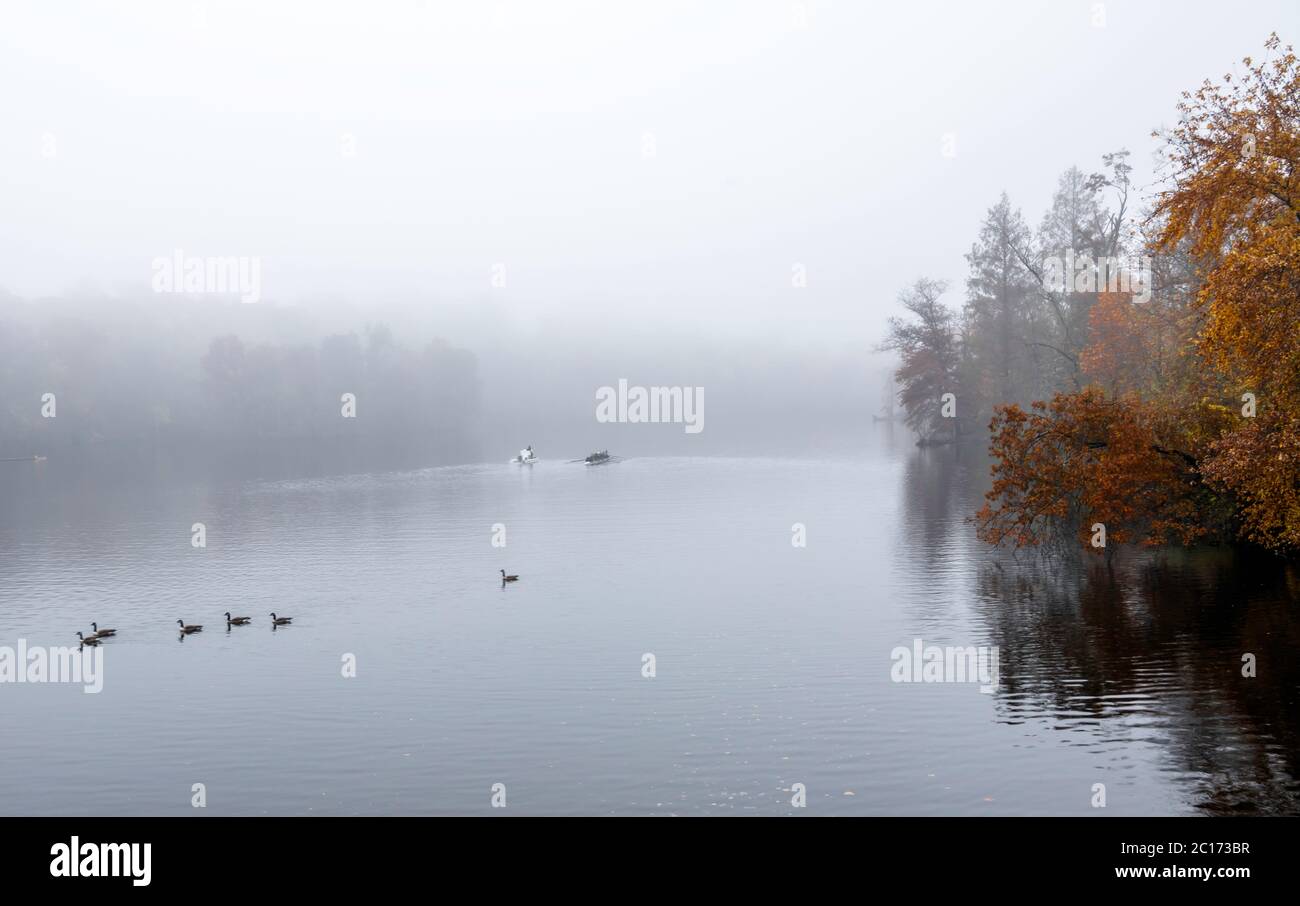 Foliage princeton hi-res stock photography and images - Alamy