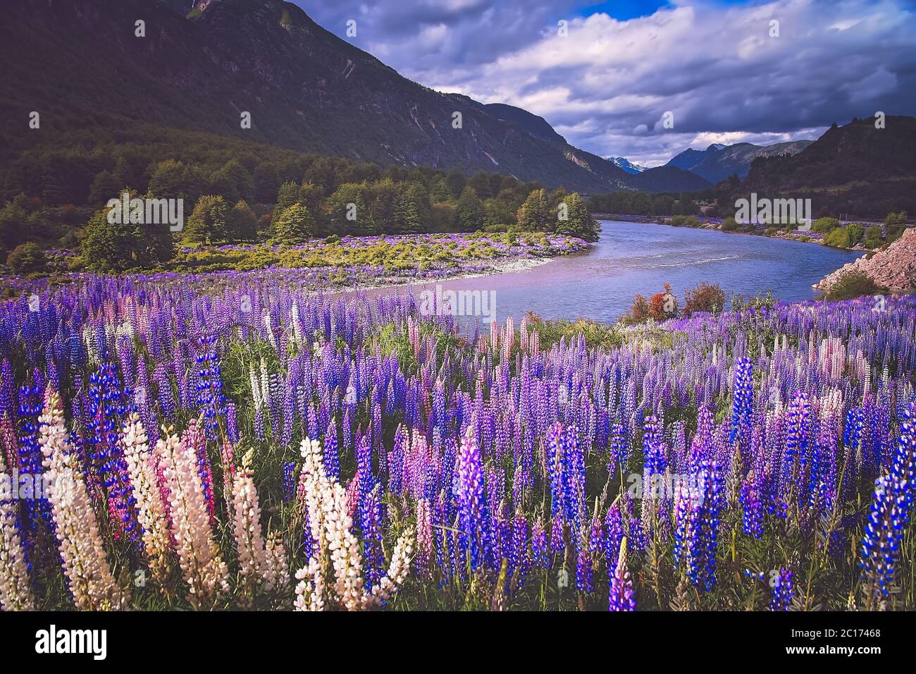 Chilean Patagonia landscape Stock Photo - Alamy