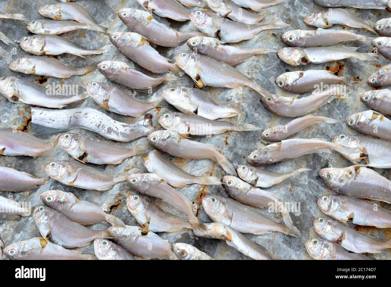 patterns of dried fish Stock Photo - Alamy