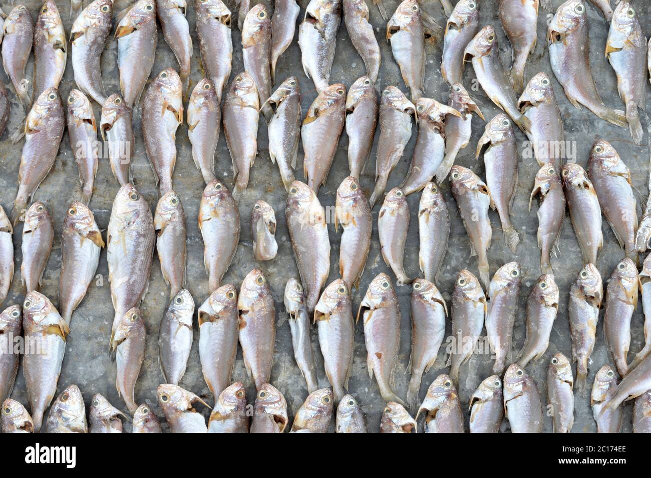 patterns of dried fish Stock Photo - Alamy