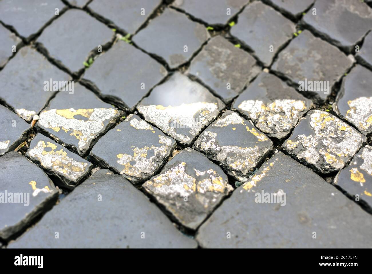 close up of a typical roman street made with cobblestone (sanpietrino ...
