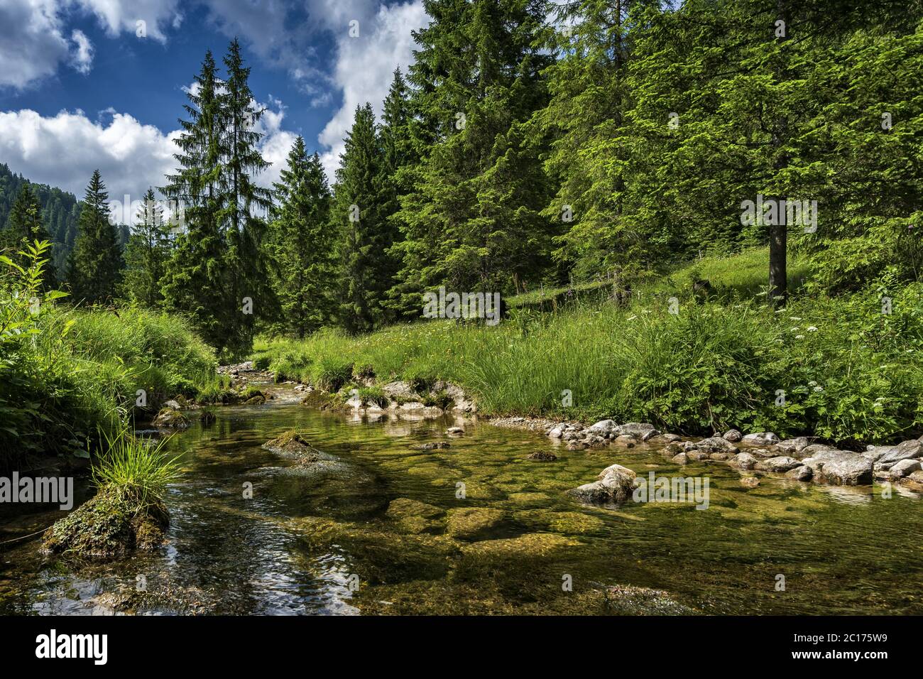 Brook little hi-res stock photography and images - Alamy