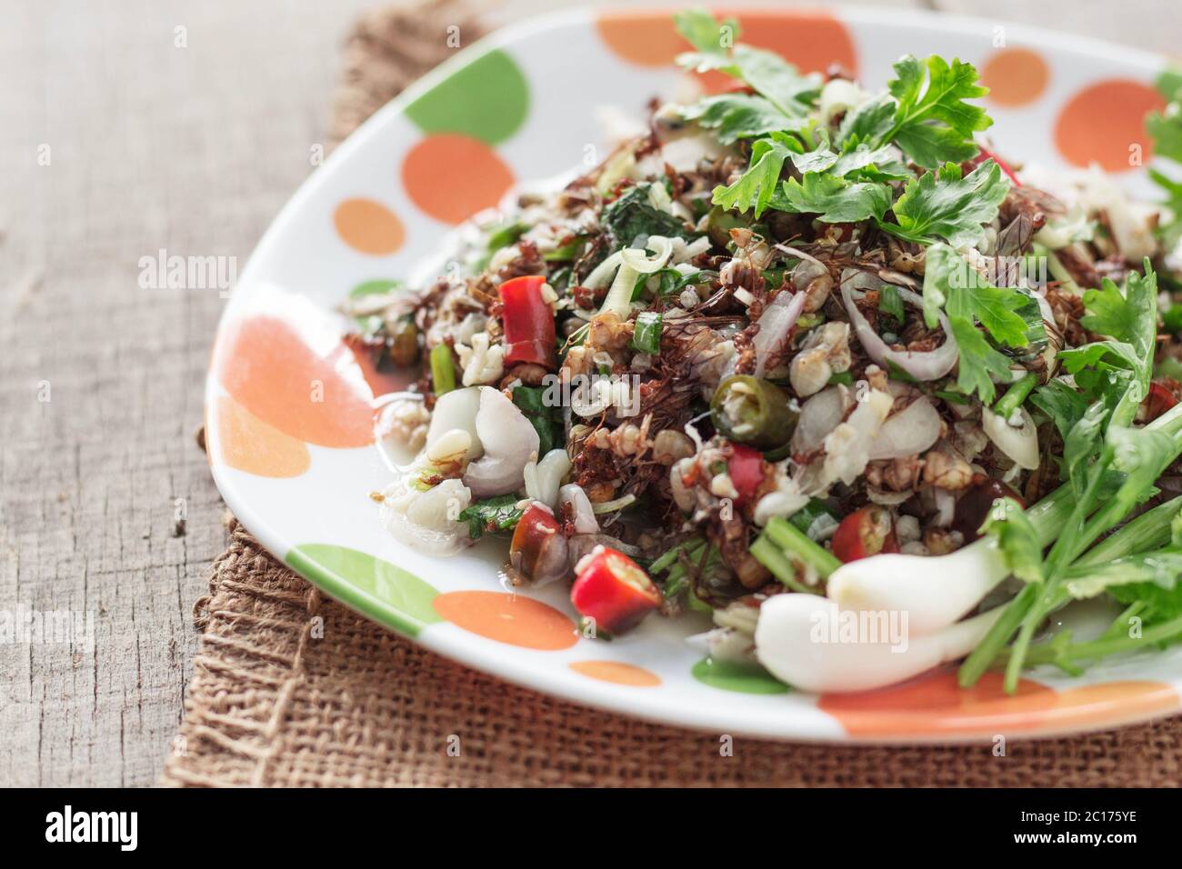 Red ants dish hi-res stock photography and images - Alamy