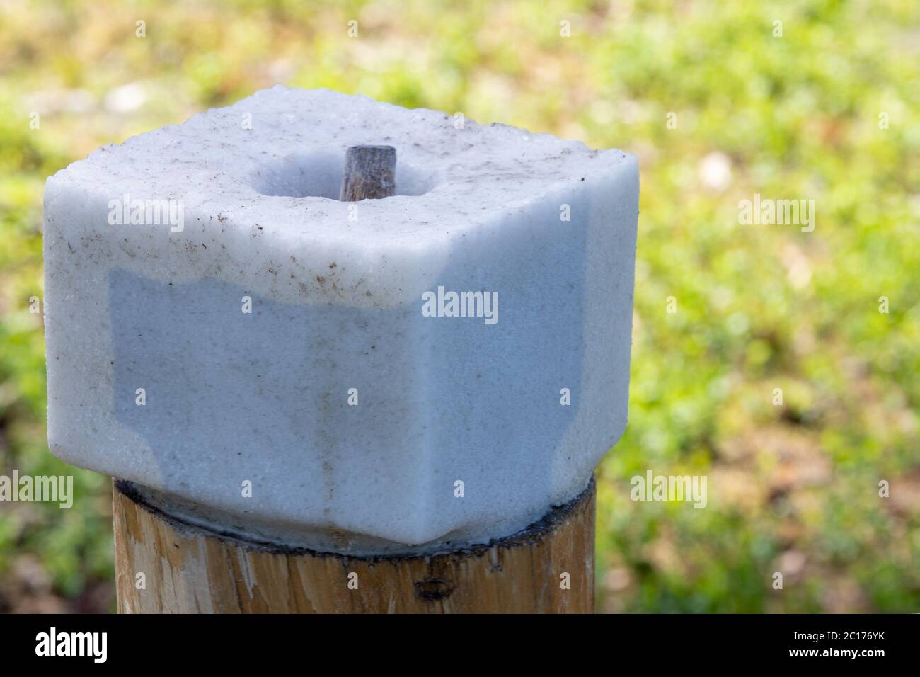 Salt lick stone for wild animals hi-res stock photography and images ...