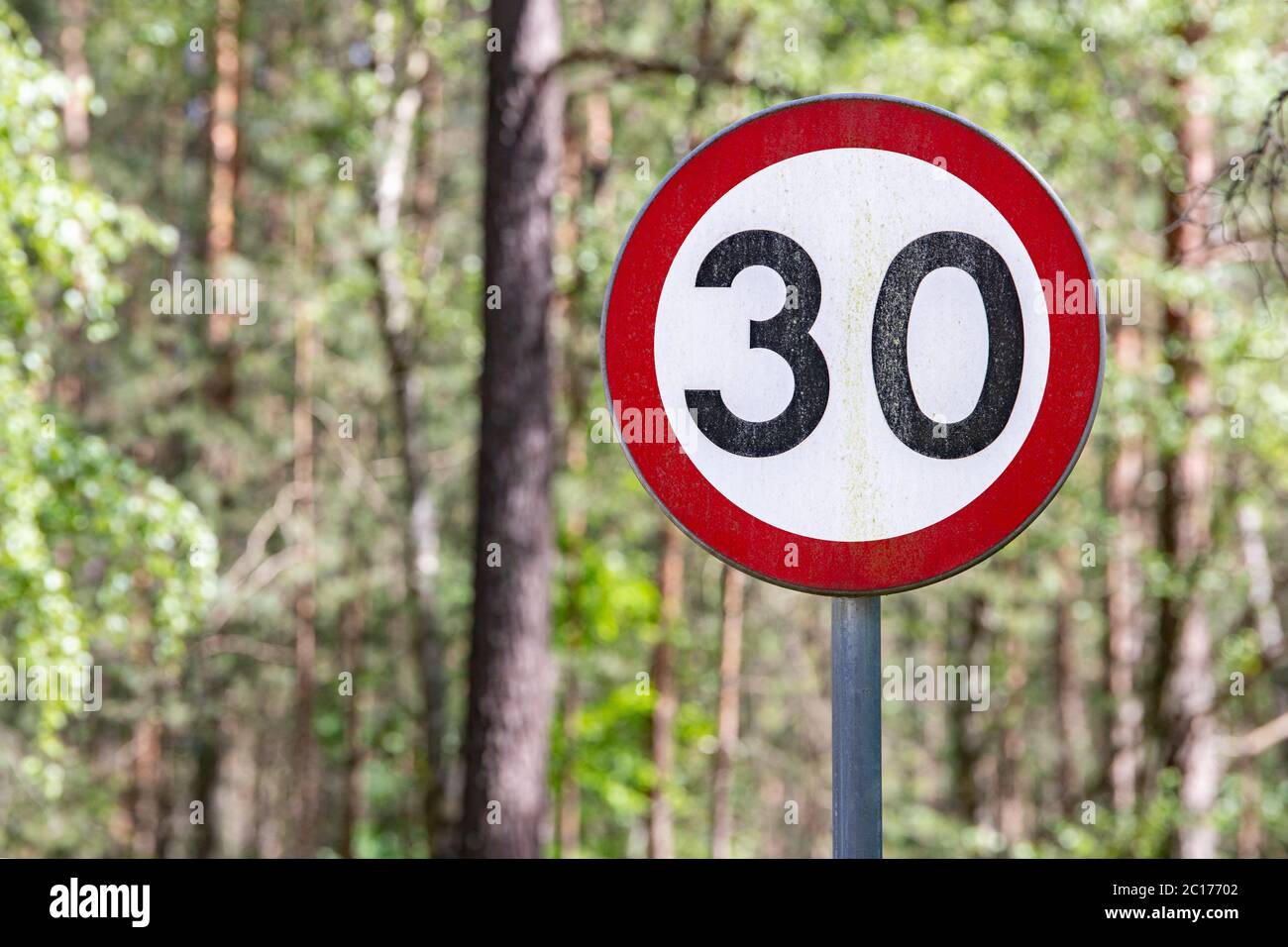 Speed limit sign in forest area. Road marking of forest roads. Summer ...