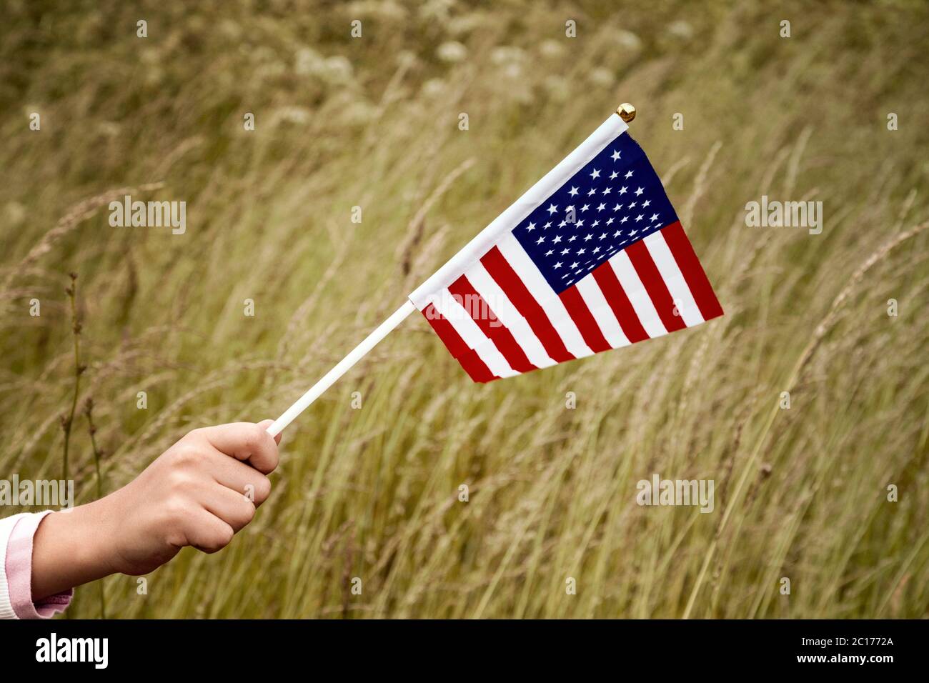 Child holding small US flag Stock Photo - Alamy