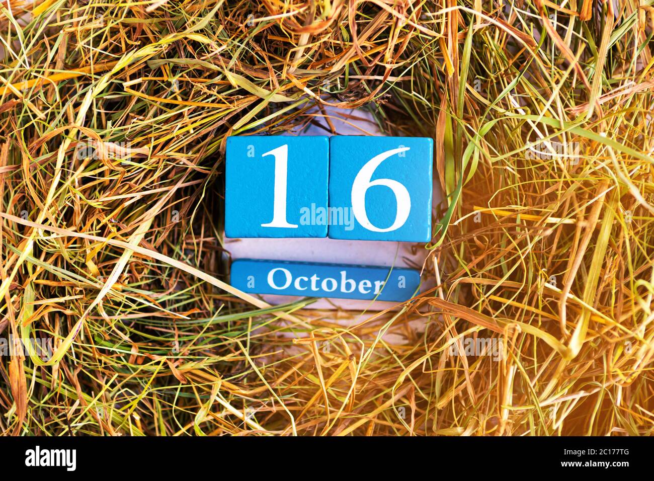 October 16th. Blue cube calendar with month and date on dry straw ...