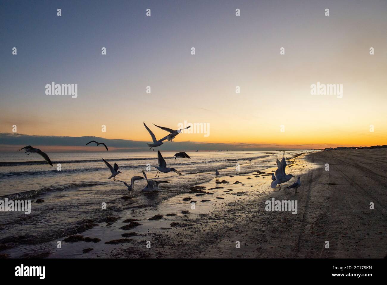 Bolivar peninsula beach hi-res stock photography and images - Alamy