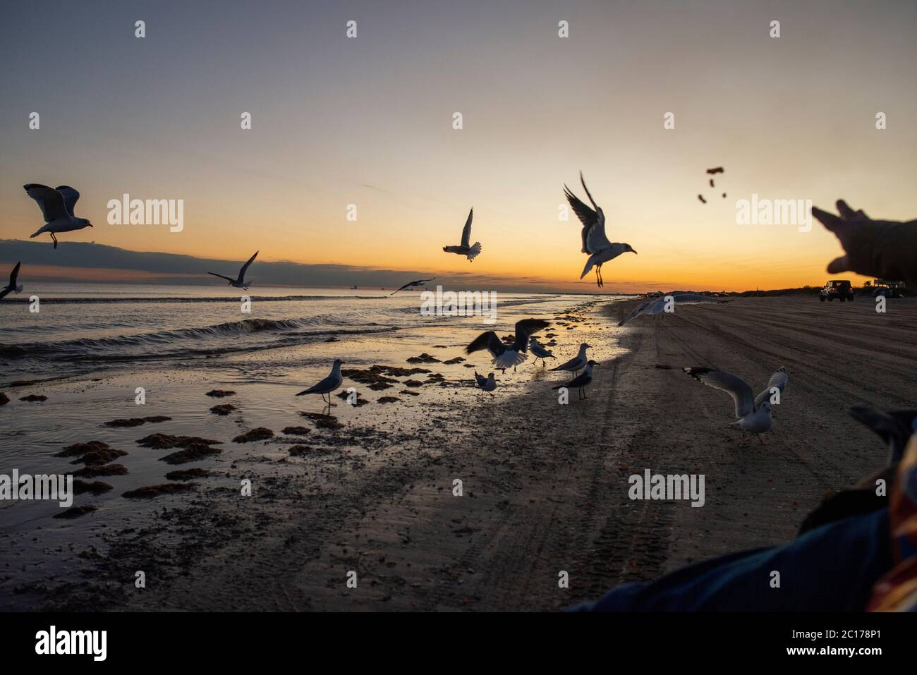 Bolivar peninsula beach hi-res stock photography and images - Alamy