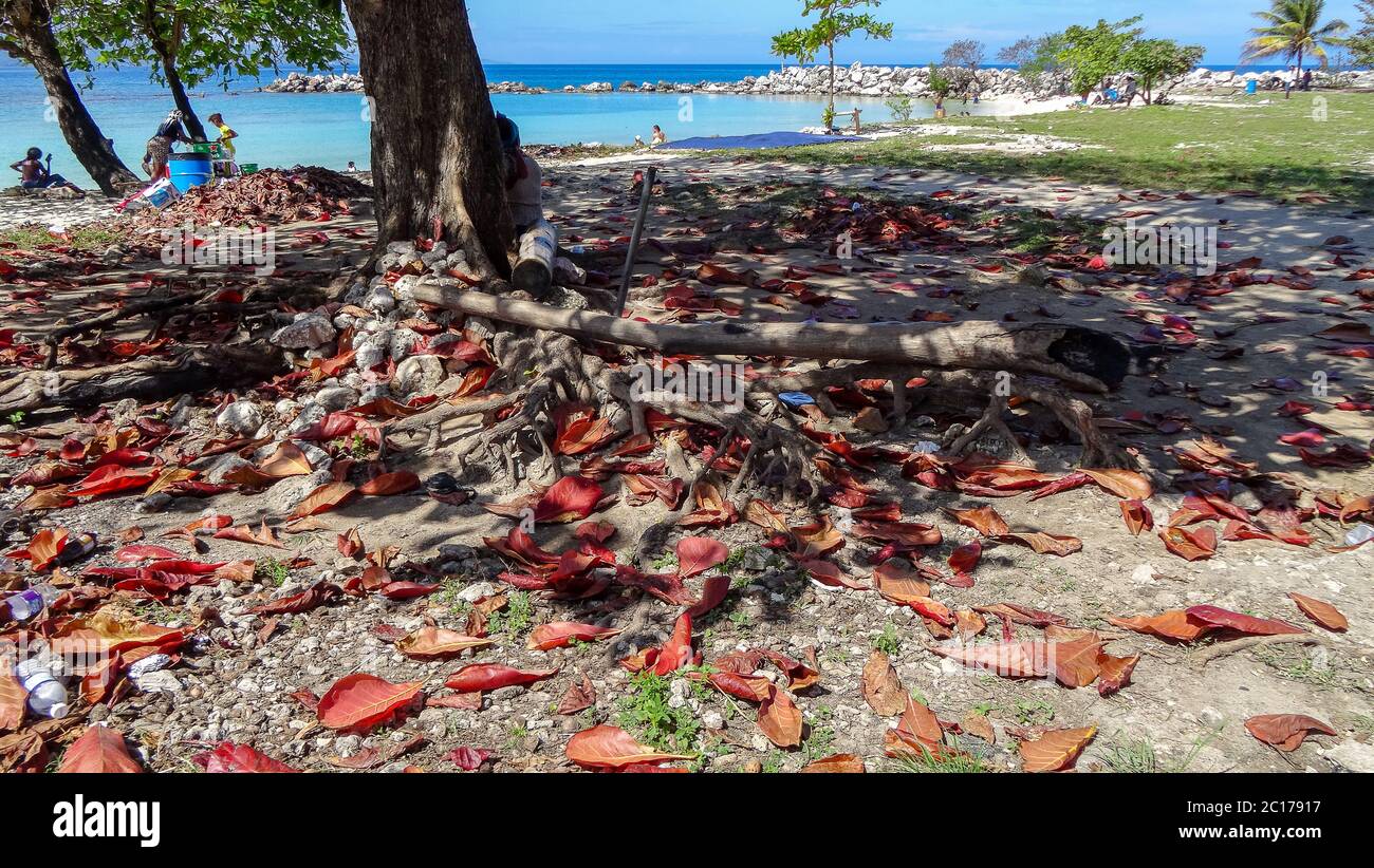 Stunning Caribbean Sea, north of Jamaica, Montego Bay. Bright colors ...