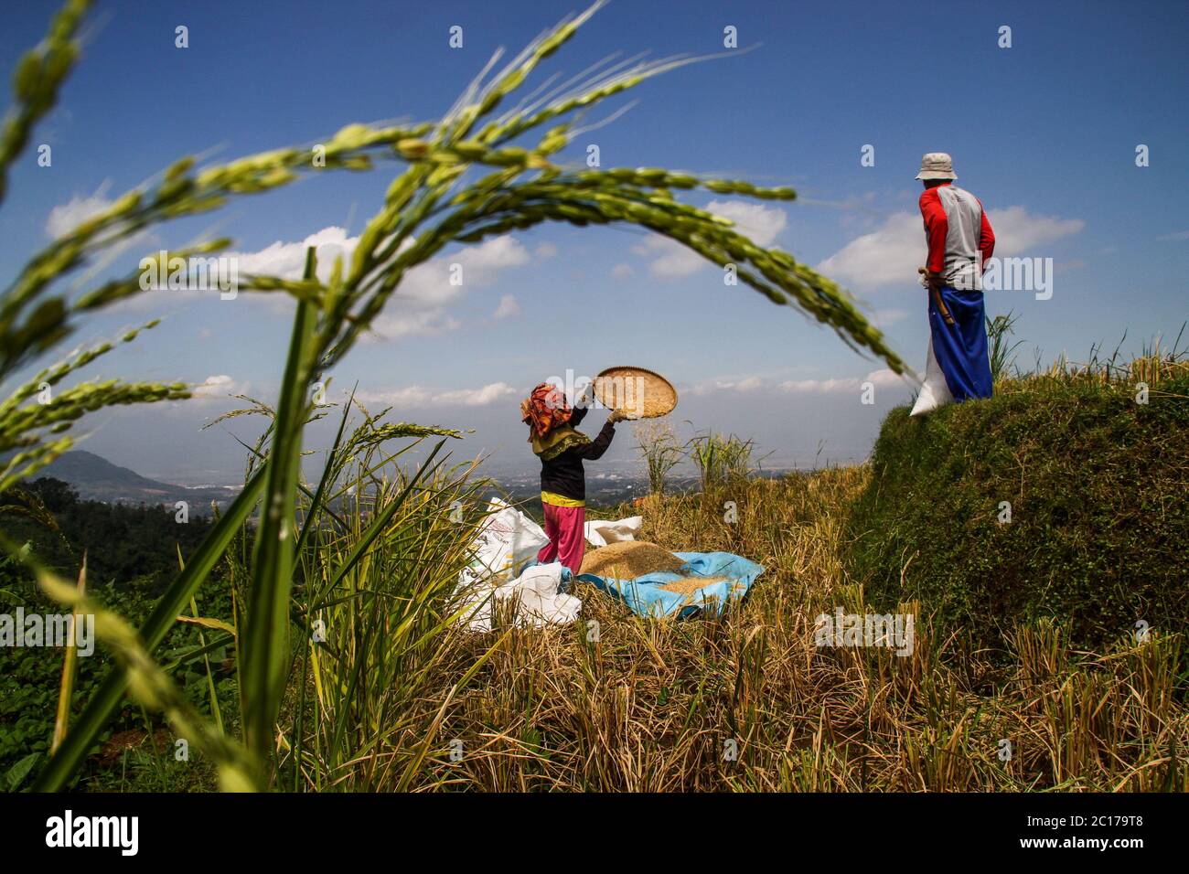 Traditional method of winnowing hi-res stock photography and images - Alamy