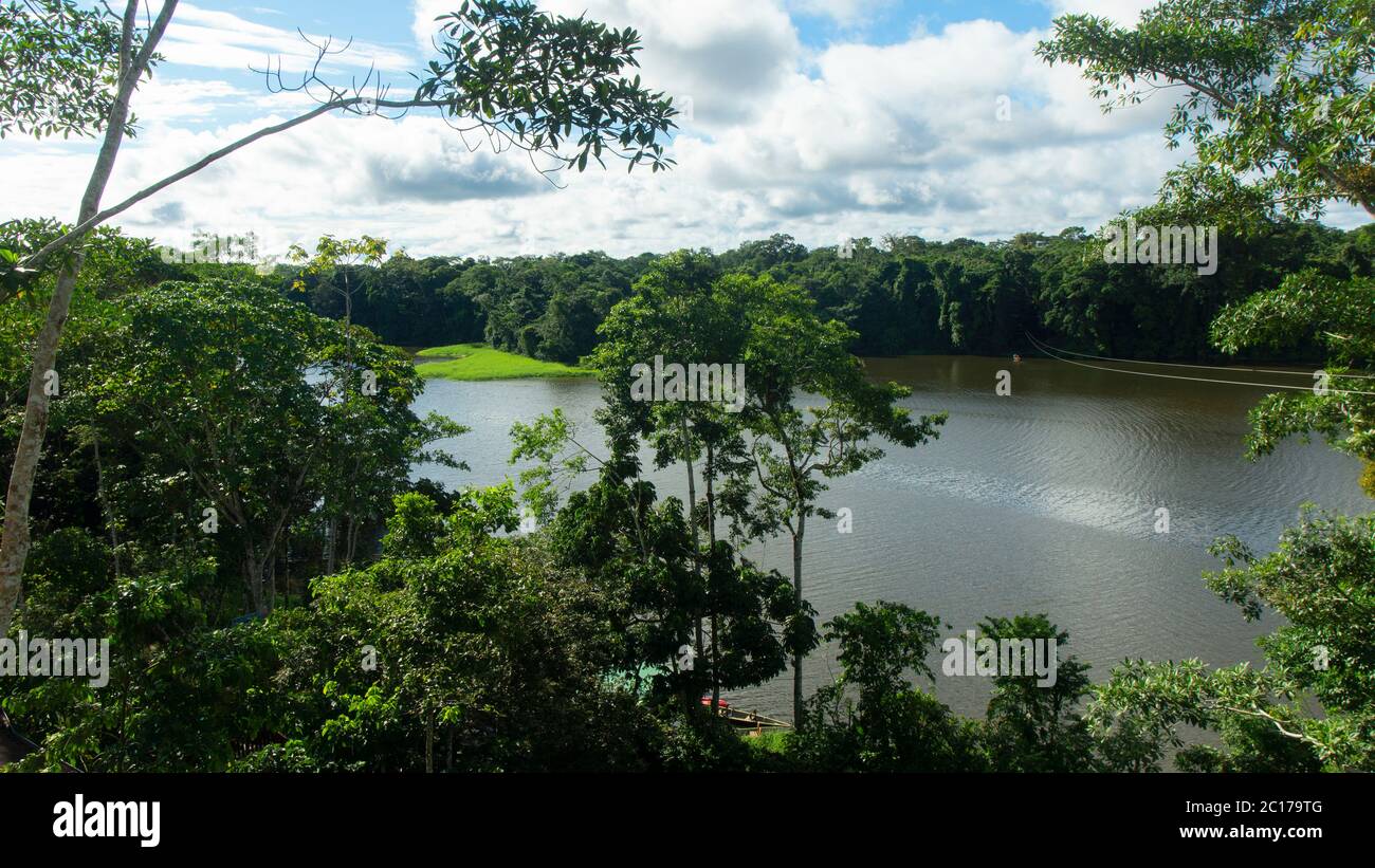 Amazon rainforest in ecuador and aerial hi-res stock photography and ...