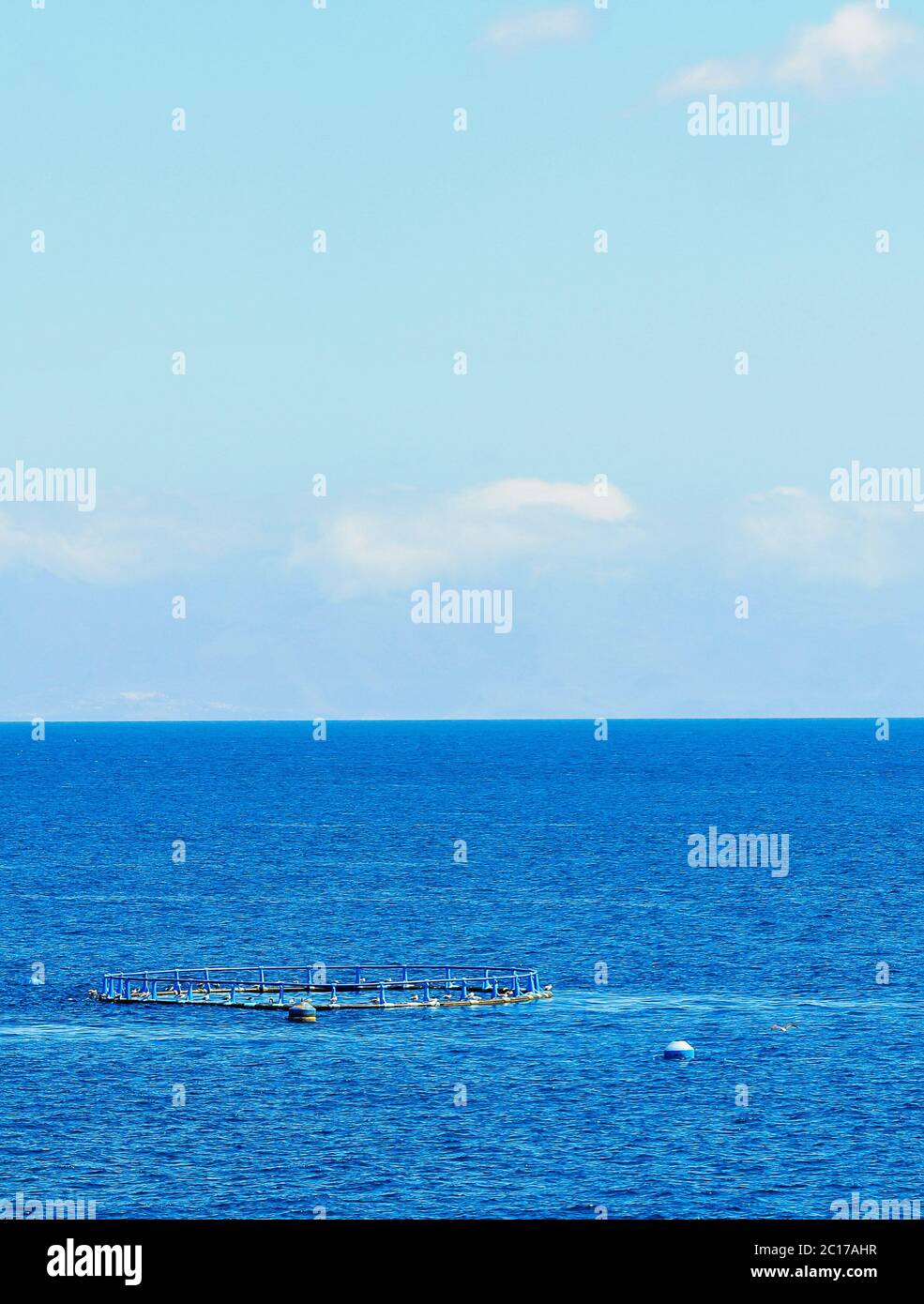 Atlantic ocean fish hi-res stock photography and images - Alamy