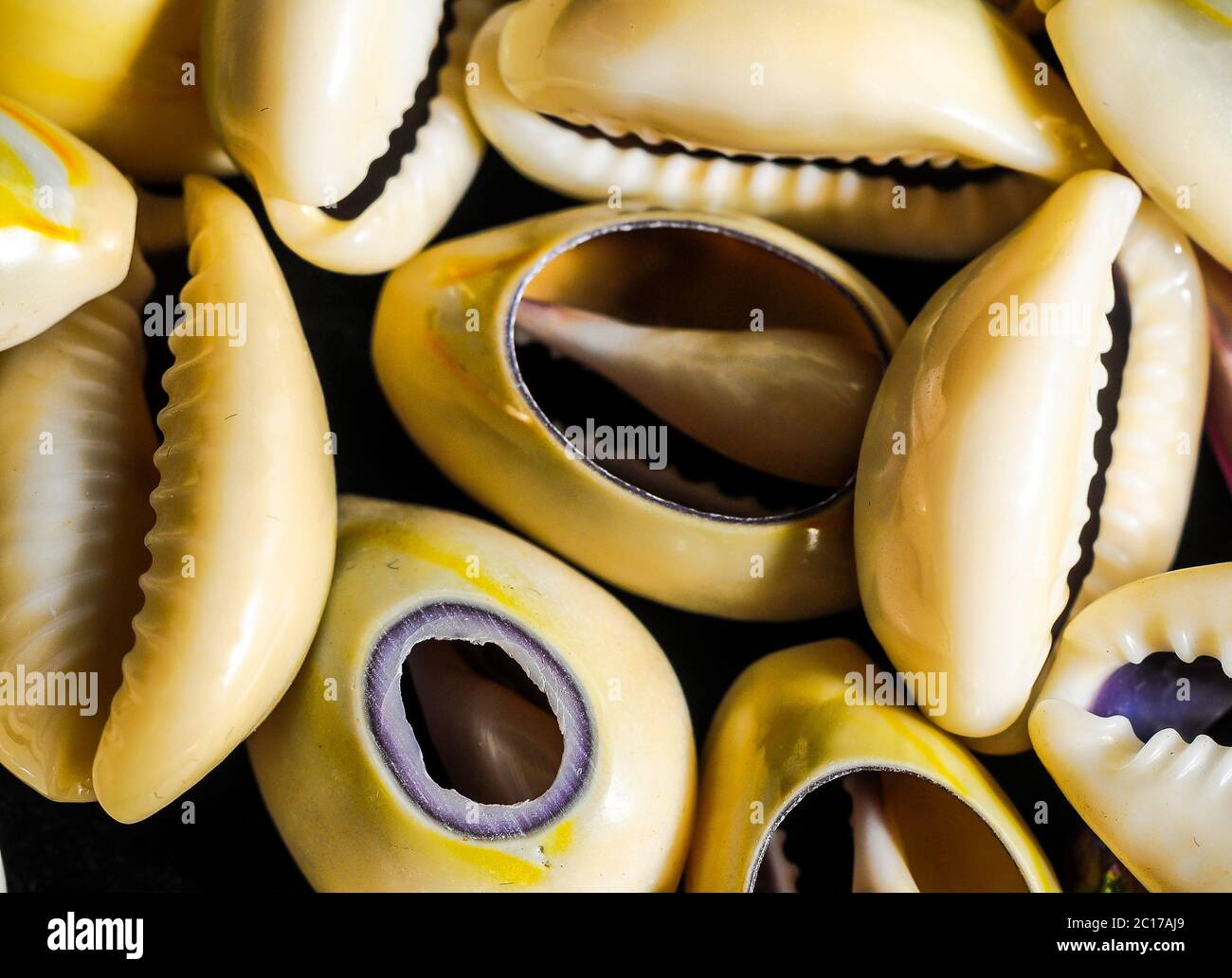 Tusk shell hi-res stock photography and images - Alamy