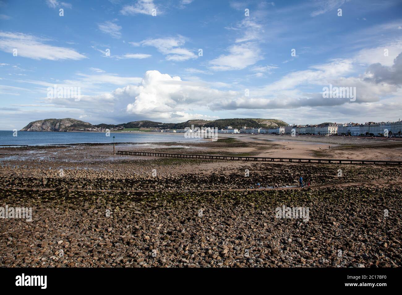 Llandudno north shore at low tide showing the rocky foreshore and beach ...