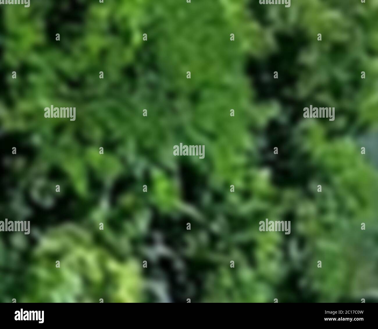 abstract green blur background Stock Photo - Alamy