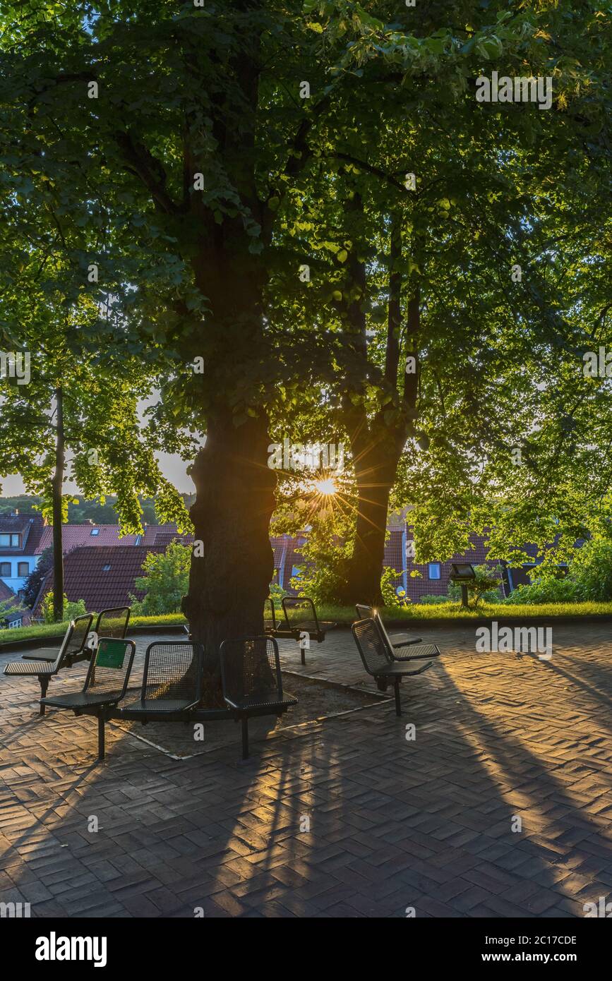 Tree seat hi-res stock photography and images - Alamy