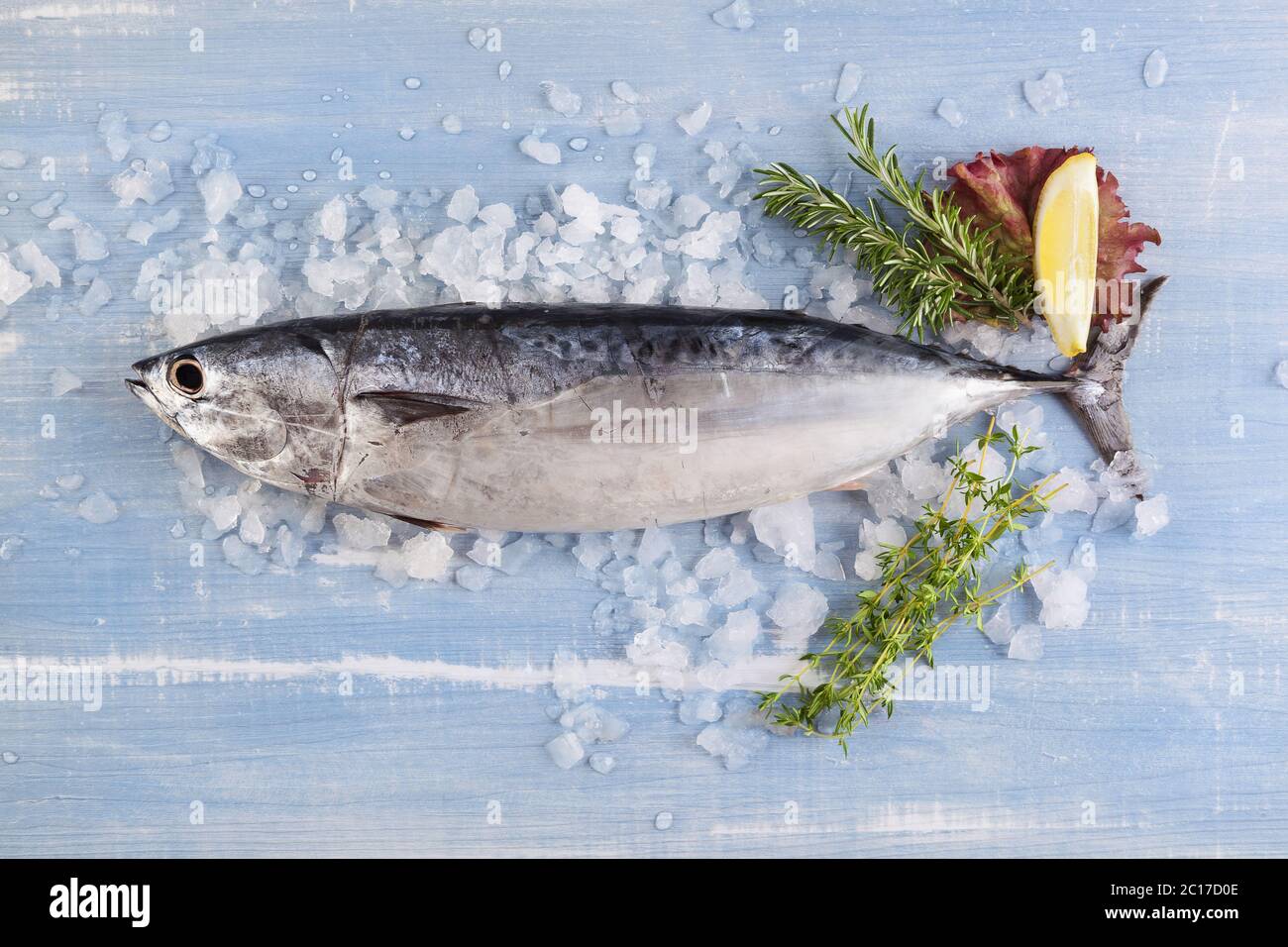 Fresh tuna fish from above Stock Photo - Alamy