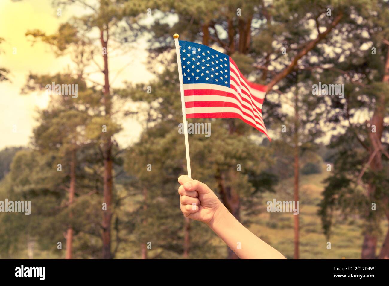 Kid holding small US flag Stock Photo - Alamy