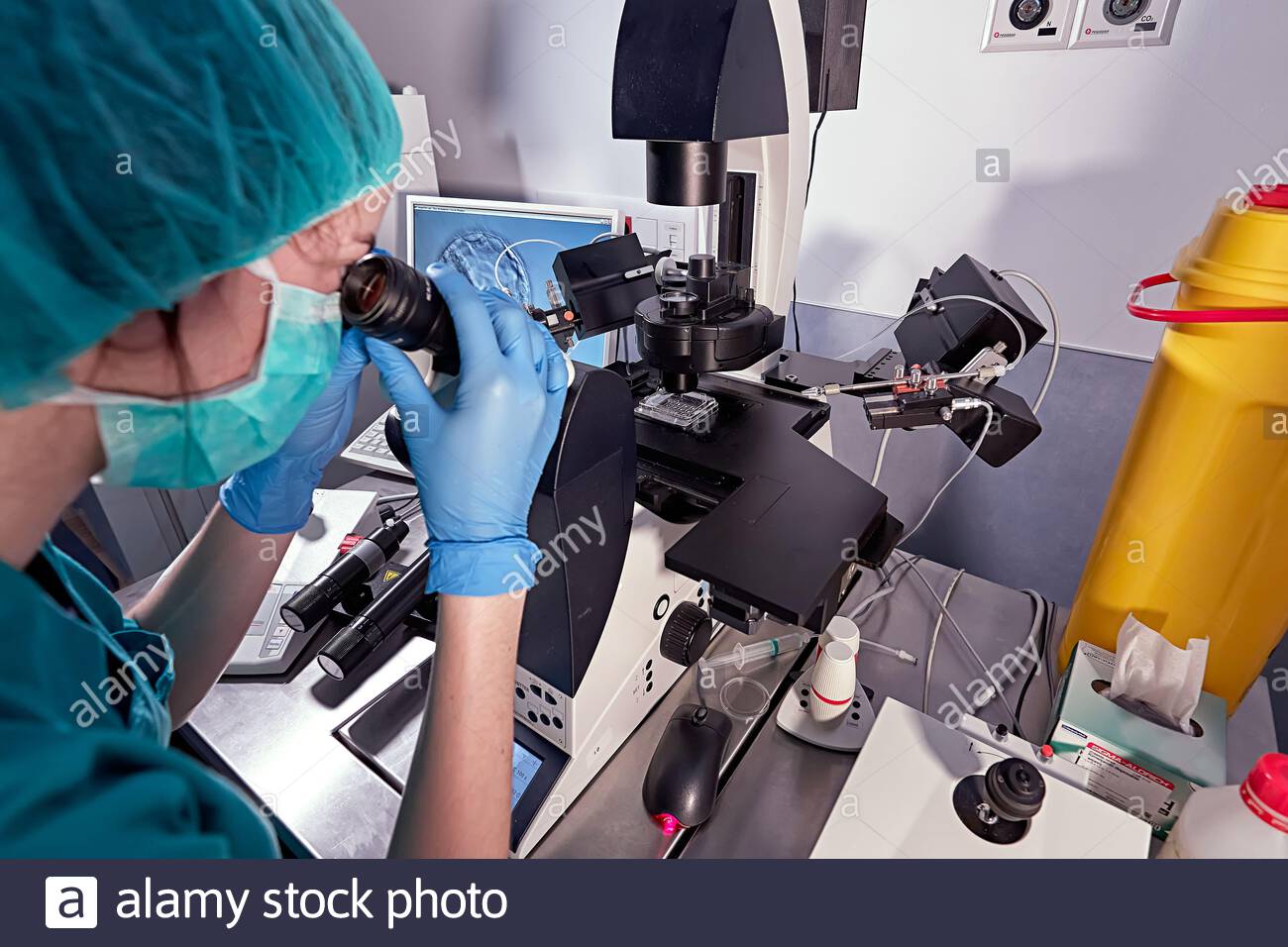 Human Egg Microscope High Resolution Stock Photography and Images - Alamy