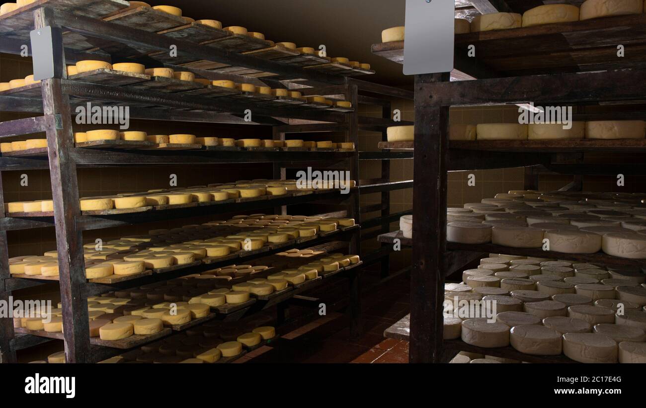 View of the interior of an aging cellar of cheeses with wooden shelves ... View of the interior of an aging cellar of cheeses with wooden shelves ...