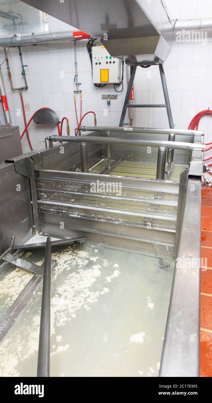 View of industrial tank to make cheese in operation. Cheese ...