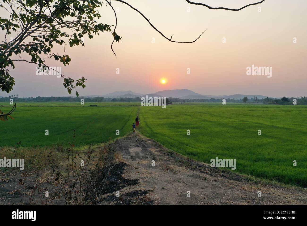 In tak hi-res stock photography and images - Alamy