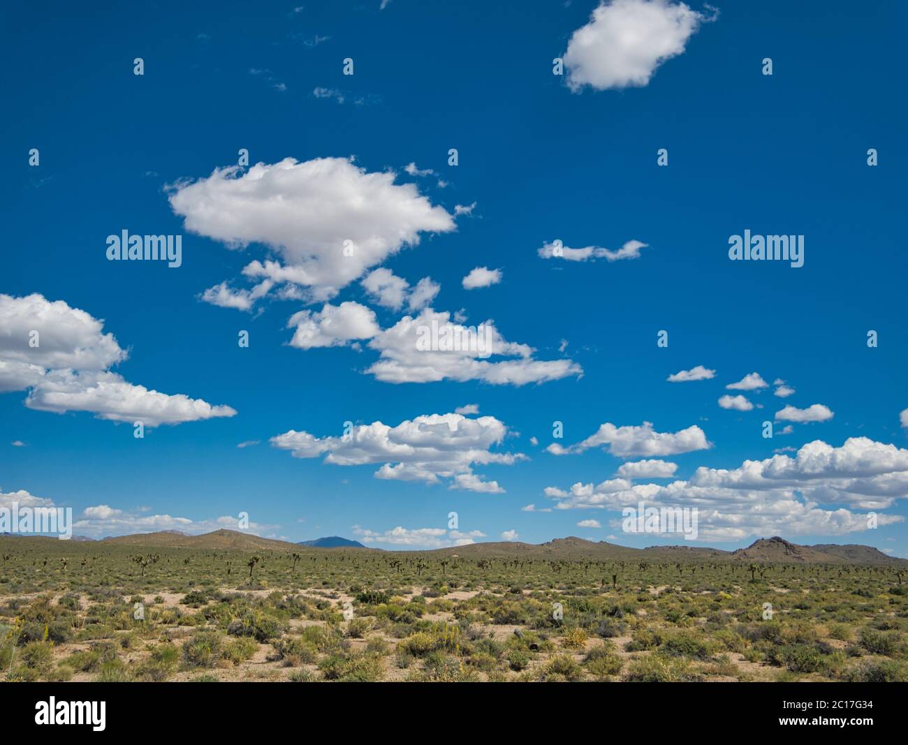 Steppe bushes hi-res stock photography and images - Alamy