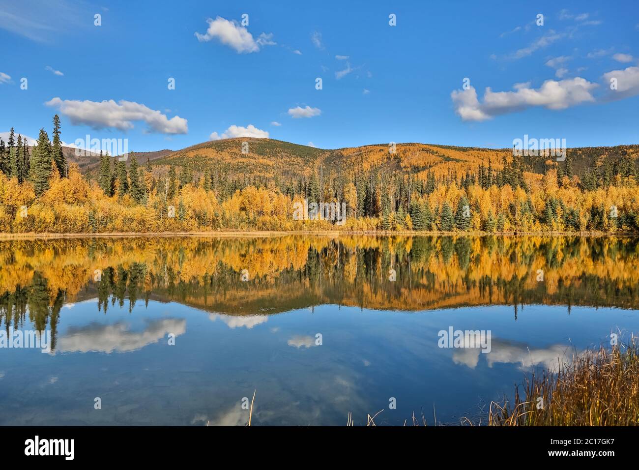 Chena lake recreation area hi-res stock photography and images - Alamy