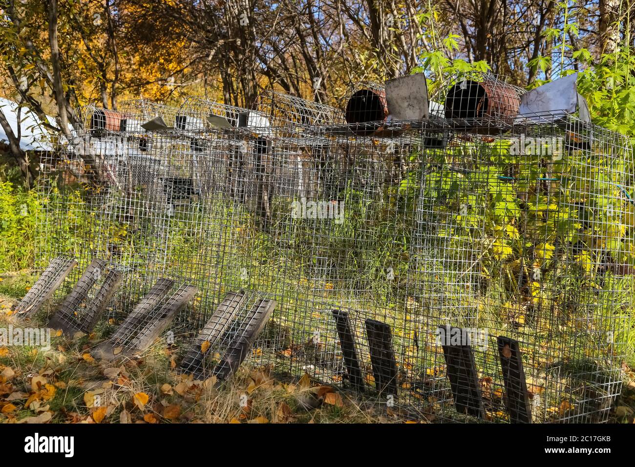 Animal traps hi-res stock photography and images - Alamy