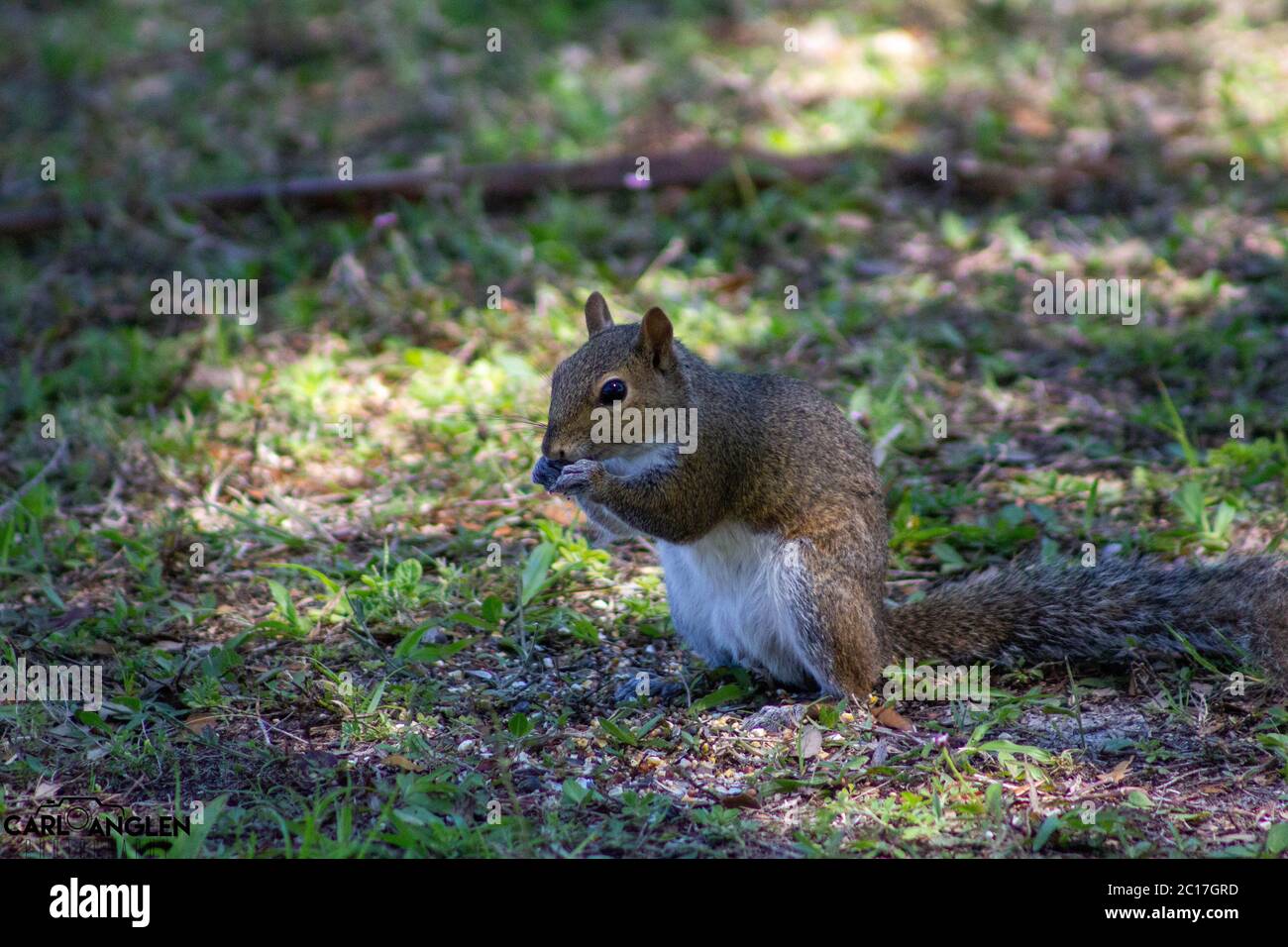 Snack break hi-res stock photography and images - Alamy