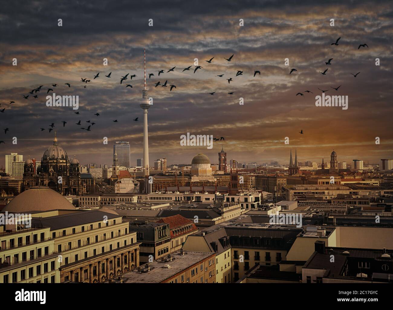 Vogel berlin hi-res stock photography and images - Alamy