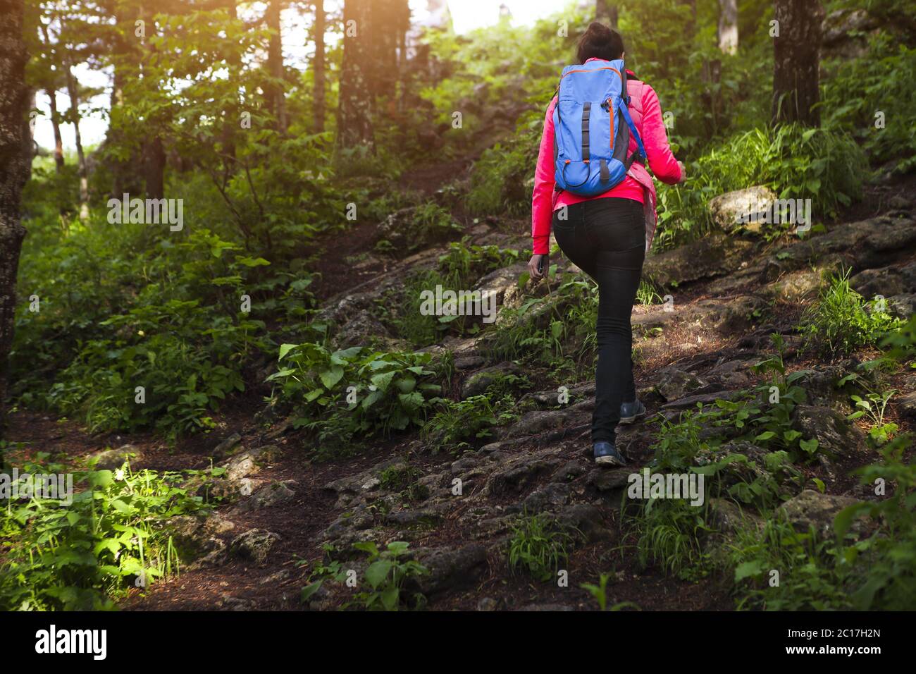 Young woman with backpack walk in mountain forest Stock Photo - Alamy