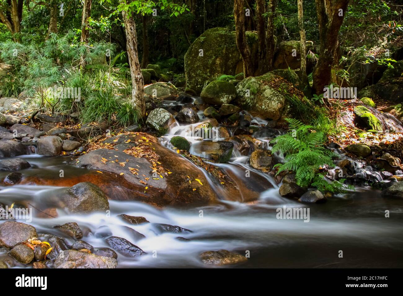 Cascade in the rainforest, Jourama Falls, Paluma Range National Park ...