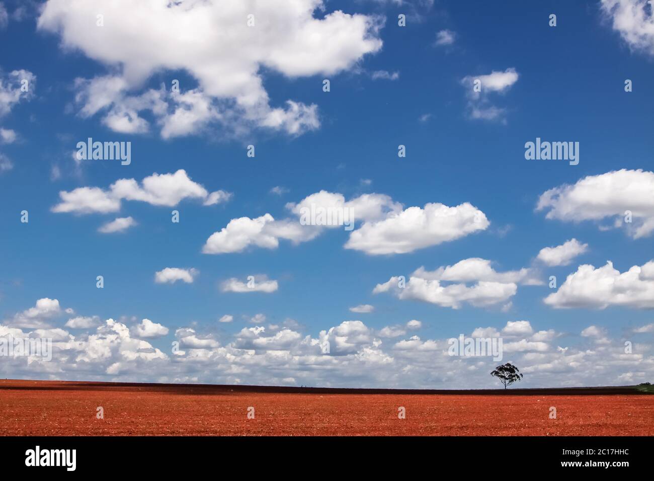 Australian countryside landscape with open sky, Queensland, Australia ...