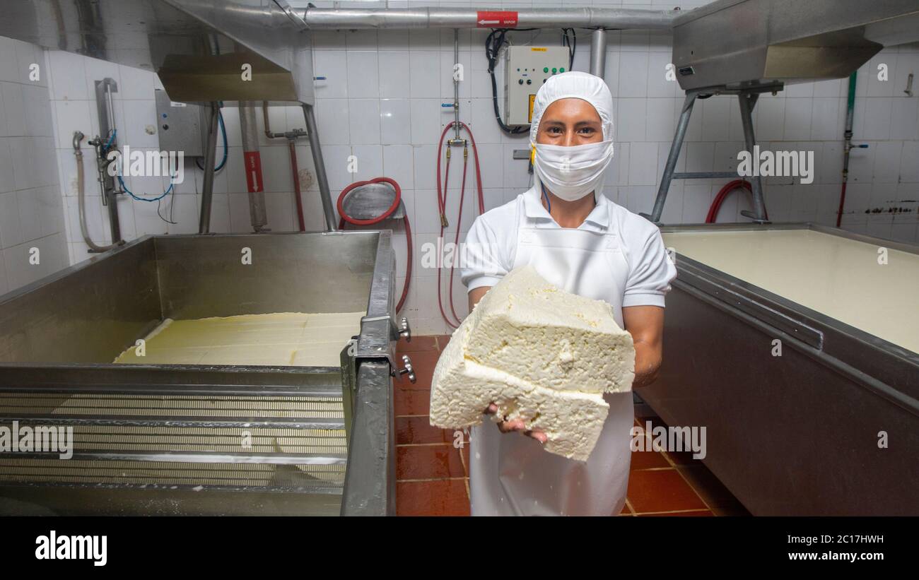 Industrial cheese blocks hi-res stock photography and images - Alamy
