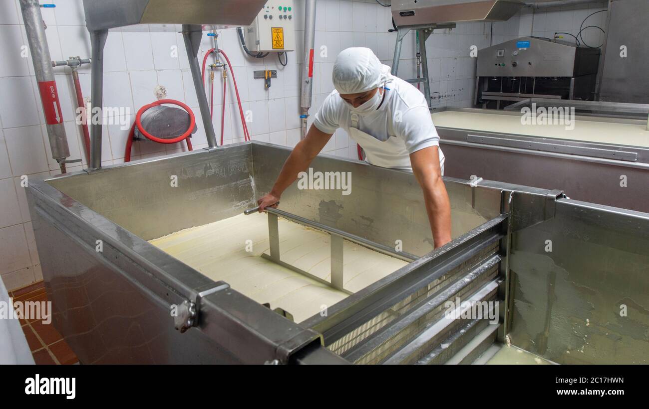 Industrial cheese blocks hi-res stock photography and images - Alamy