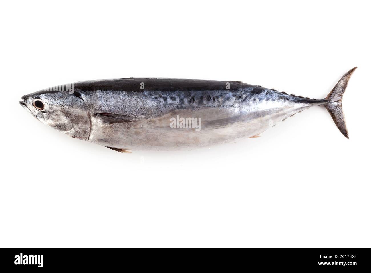 Cutting tuna Cut Out Stock Images & Pictures - Alamy