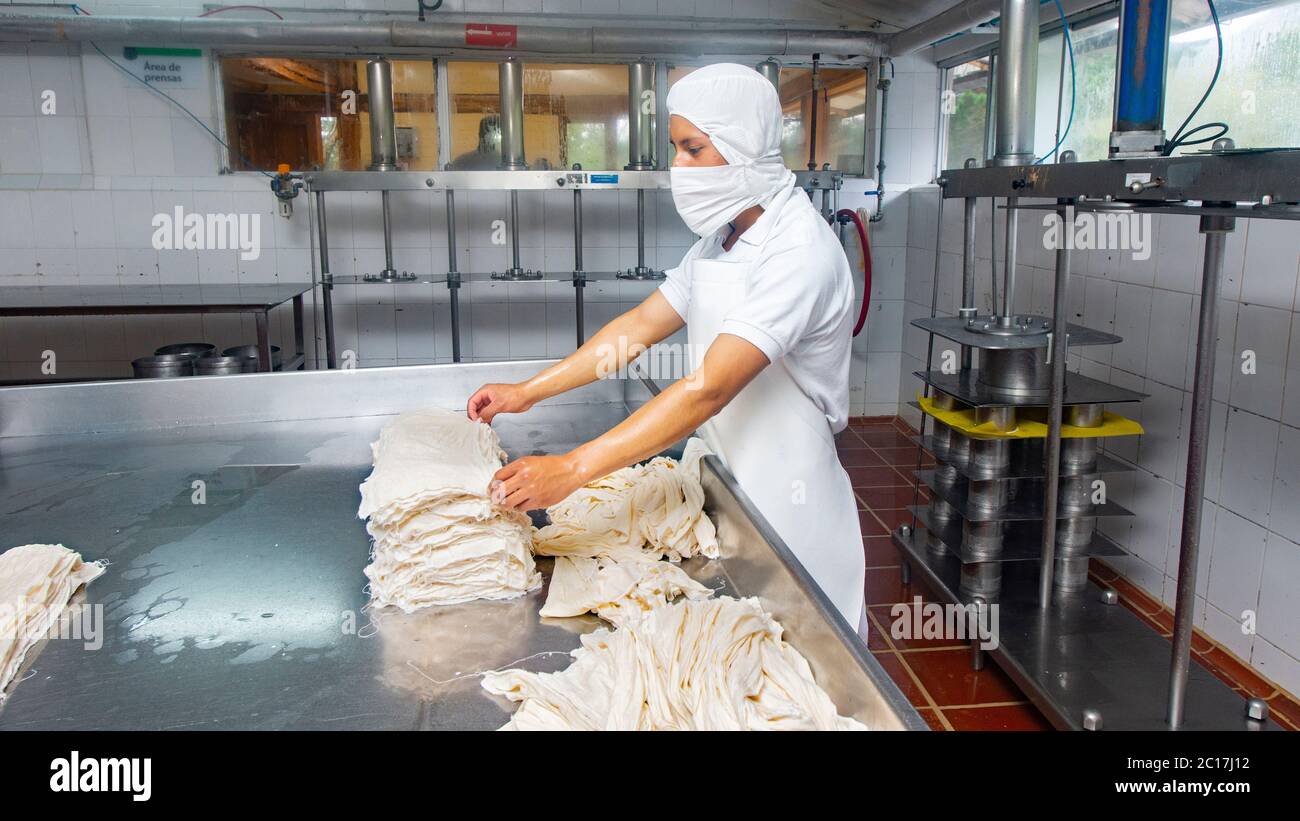 Zuleta, Imbabura / Ecuador - November 9 2018: Worker preparing the ...
