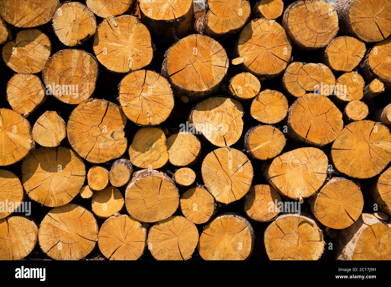Montana logging hi-res stock photography and images - Alamy
