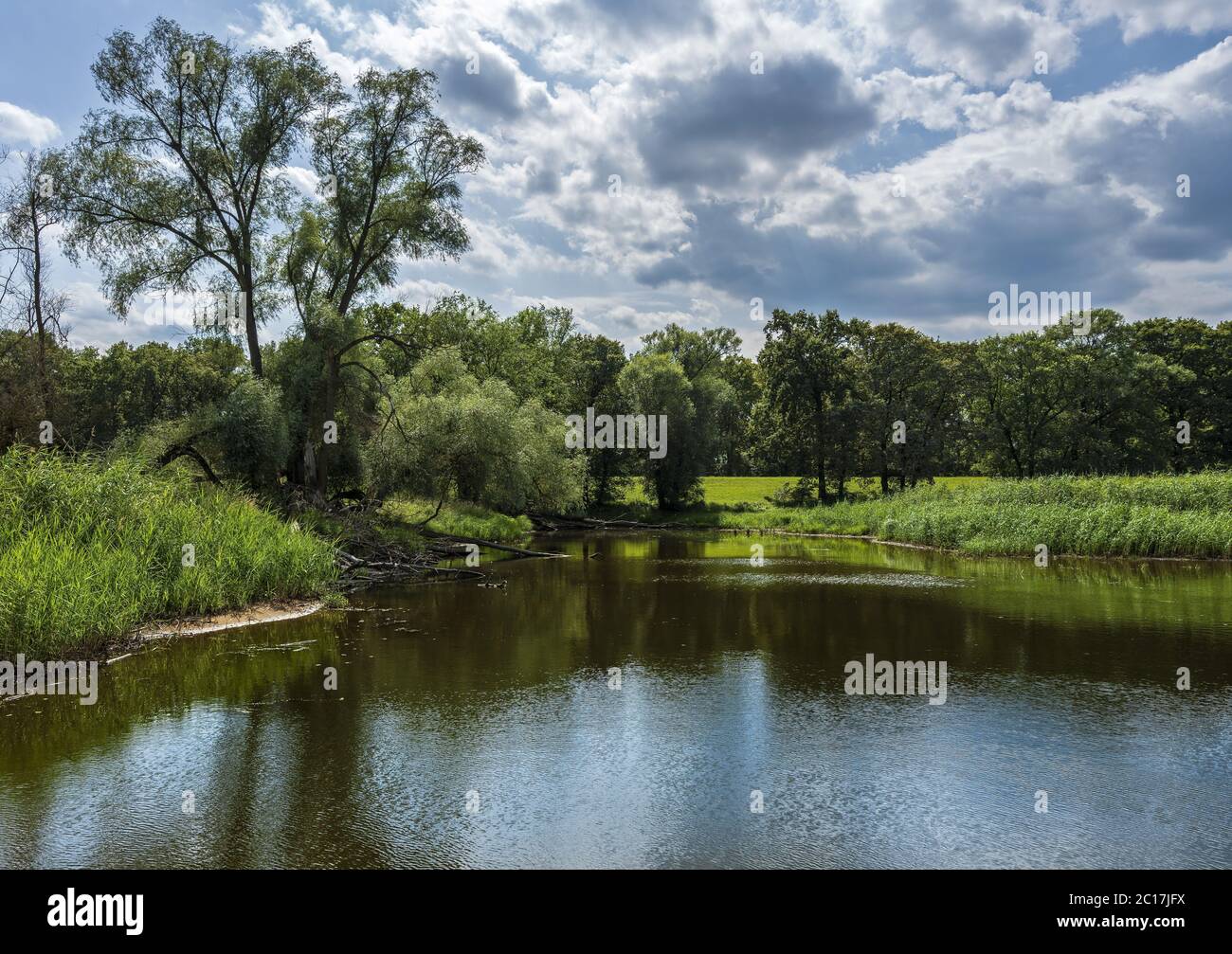 Riverbed of the Oder Stock Photo - Alamy