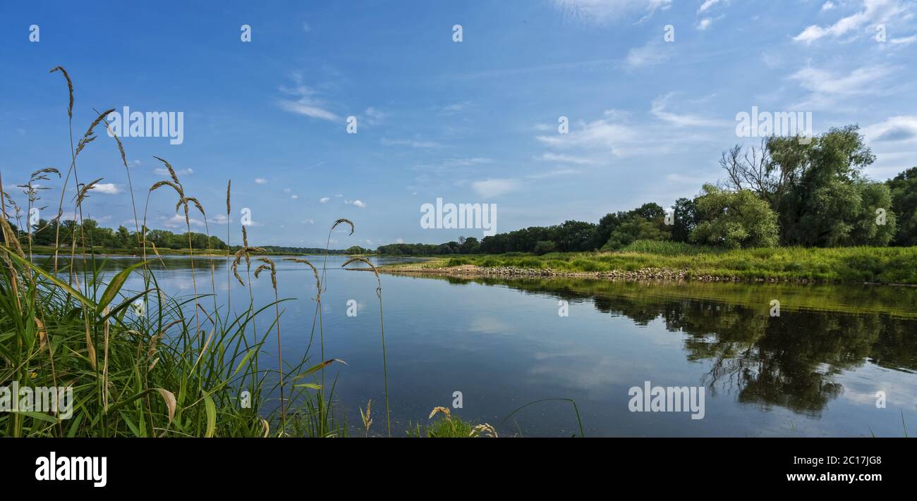 The river Oder in the Brandenburg Land Stock Photo - Alamy