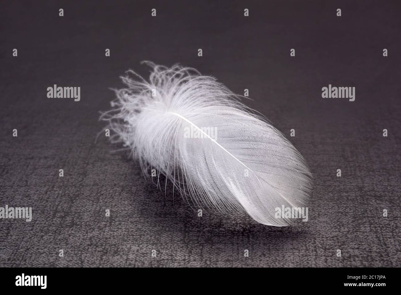 Concept of lightweight hi-res stock photography and images - Alamy