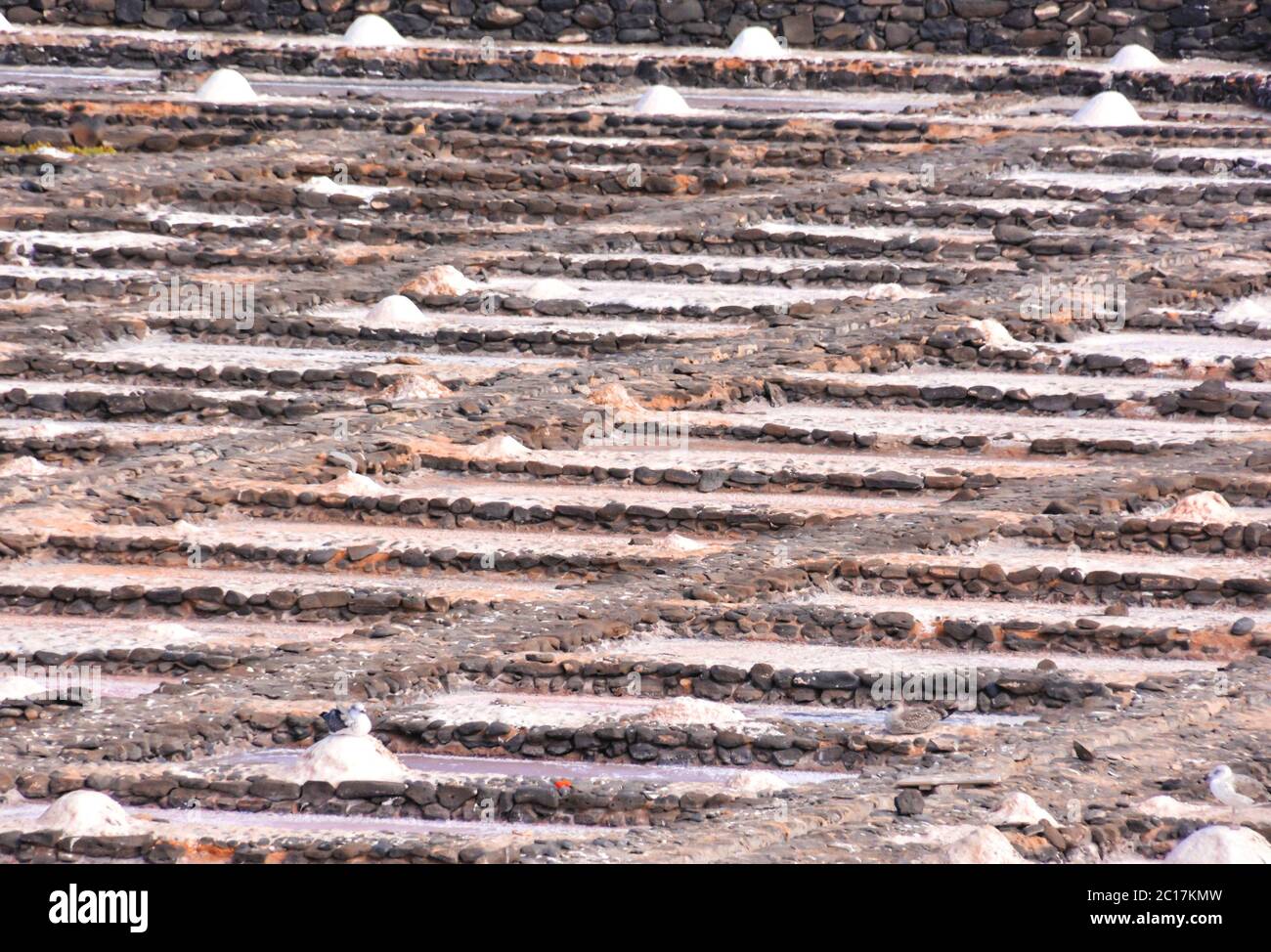 Salt Flat Field Stock Photo - Alamy