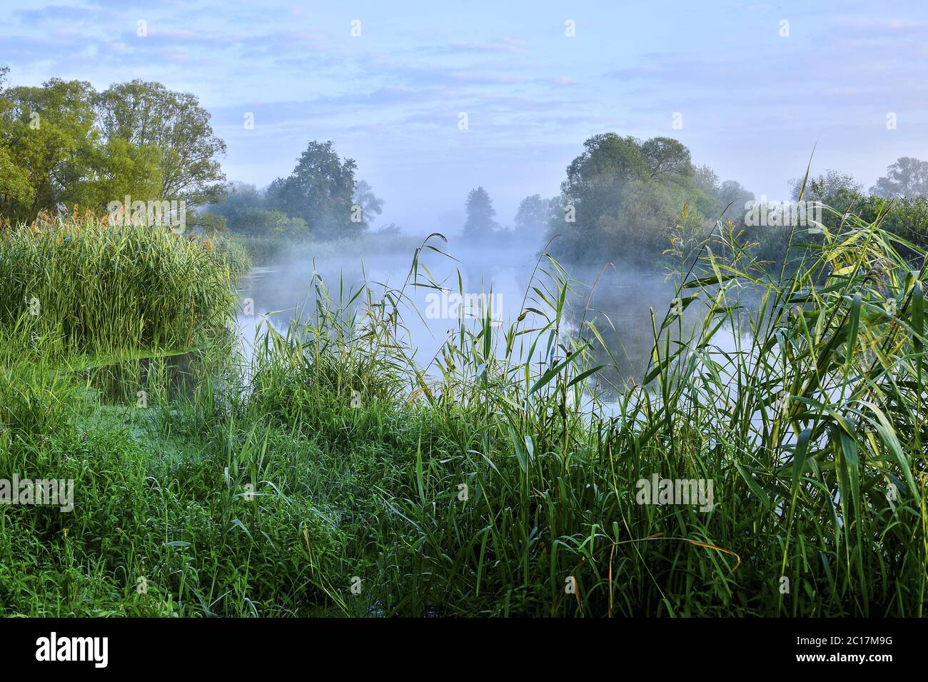 Photo of fog hi-res stock photography and images - Alamy