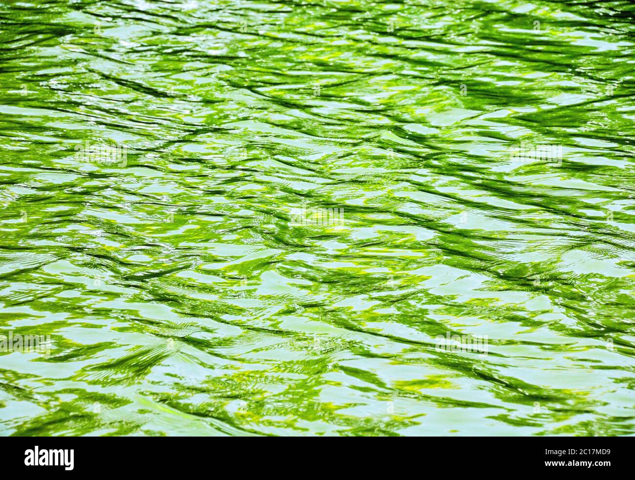Brenta river sea hi-res stock photography and images - Alamy